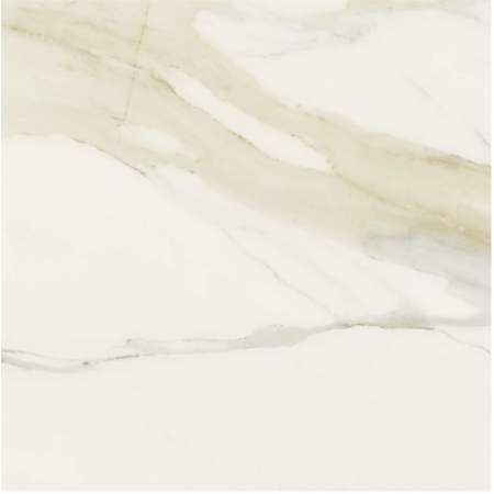 REX CERAMICHE I CLASSICI CALACATTA GOLD MATTE 60X60 SP.9mm - Fissor...